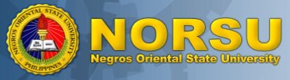 Norsu Graduate School Logo